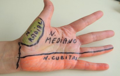 SIGNO DE TINEL – El Blog del Dolor